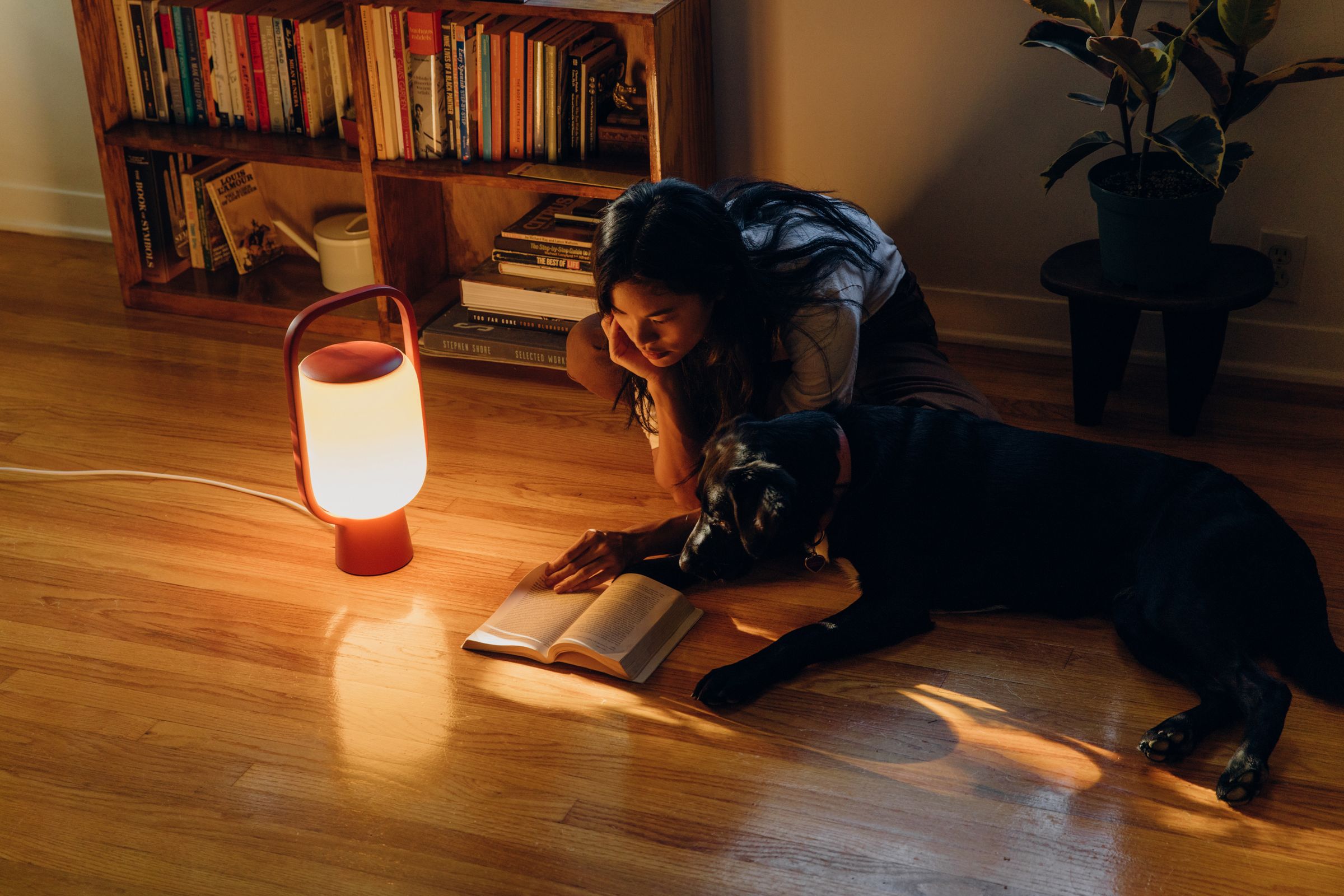 Introducing Kero from noun studio | Gantri ® Stories